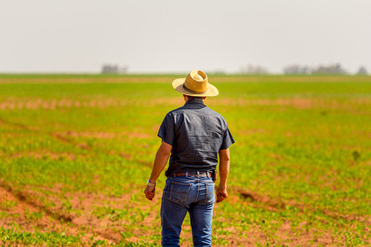 Monocropping Bilder – Durchsuchen 392 Archivfotos, Vektorgrafiken und ...