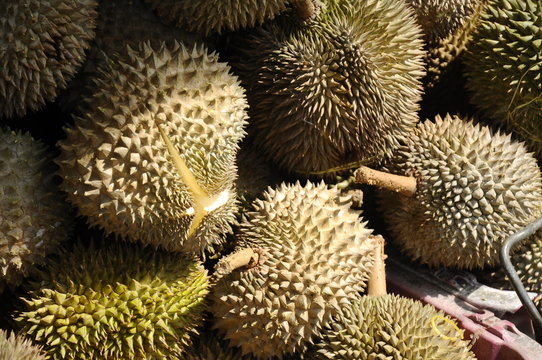 Durion Bilder – Durchsuchen 37,518 Archivfotos, Vektorgrafiken und ...