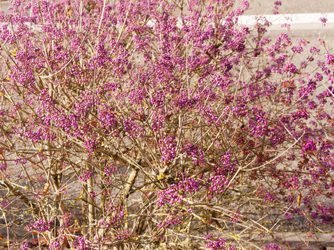 Berren Bilder – Durchsuchen 132 Archivfotos, Vektorgrafiken und Videos ...