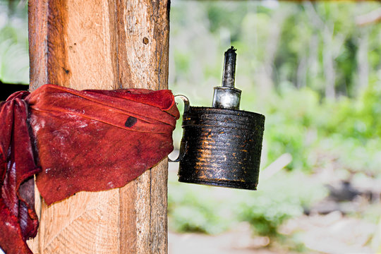 รูปภาพPoronga – เลือกดูภาพถ่ายสต็อก เวกเตอร์ และวิดีโอ13 | Adobe Stock