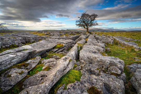 Obrázky Winskill – procházejte fotografie, vektory a videa 846 | Adobe ...