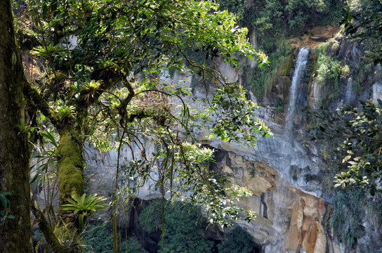 Bagos photos, images, assets | Adobe Stock