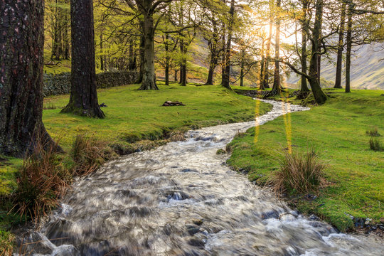 "Format Paysage" - Images et vidéos libres de droits | Adobe Stock