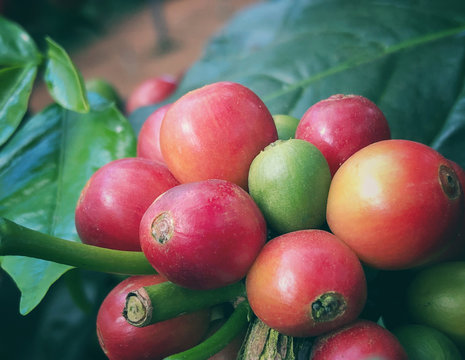 รูปภาพRefreshness – เลือกดูภาพถ่ายสต็อก เวกเตอร์ และวิดีโอ2,849 | Adobe ...