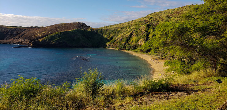 「Hanama」の写真素材 | 37件の無料イラスト画像 | Adobe Stock