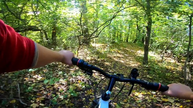 Go Pro Bilder Durchsuchen 48 688 Archivfotos Vektorgrafiken Und