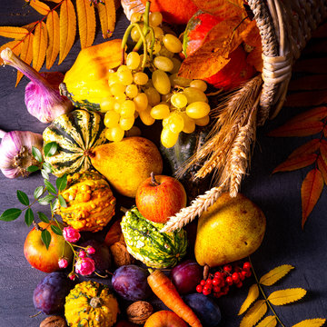 Cornocopia Bilder – Durchsuchen 110 Archivfotos, Vektorgrafiken und ...