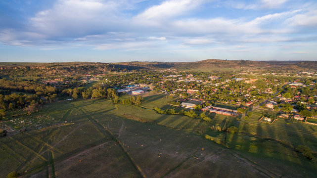 「Ladybrand」の写真素材 | 17件の無料イラスト画像 | Adobe Stock
