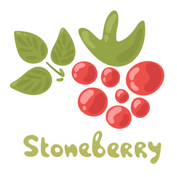 「Stoneberry」の画像 - 18 件の Stock 写真、ベクターおよびビデオ | Adobe Stock