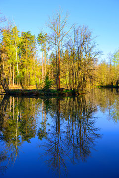 Hl Bilder – Durchsuchen 5,987 Archivfotos, Vektorgrafiken und Videos ...