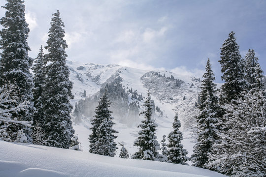 Taldy-Kurgan Bilder – Durchsuchen 1,606 Archivfotos, Vektorgrafiken und ...