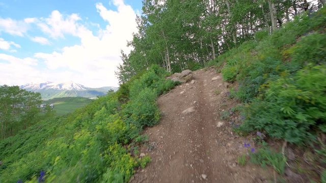 Snodgrass Images – Browse 196 Stock Photos, Vectors, and Video | Adobe ...