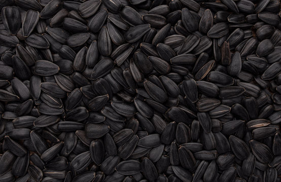 รูปภาพSeeds – เลือกดูภาพถ่ายสต็อก เวกเตอร์ และวิดีโอ4,091,522 | Adobe Stock