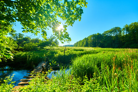 รูปภาพIdyllic – เลือกดูภาพถ่ายสต็อก เวกเตอร์ และวิดีโอ2,910,465 | Adobe ...