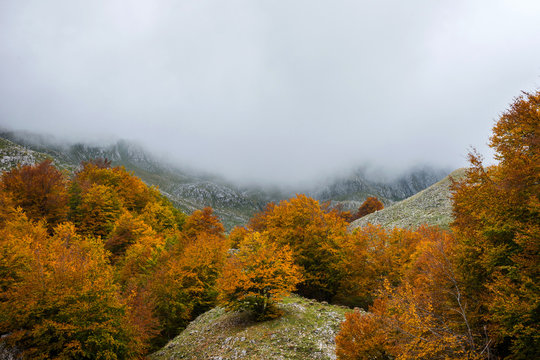 "Paesaggio Autunnale" Images – Browse 401 Stock Photos, Vectors, and ...