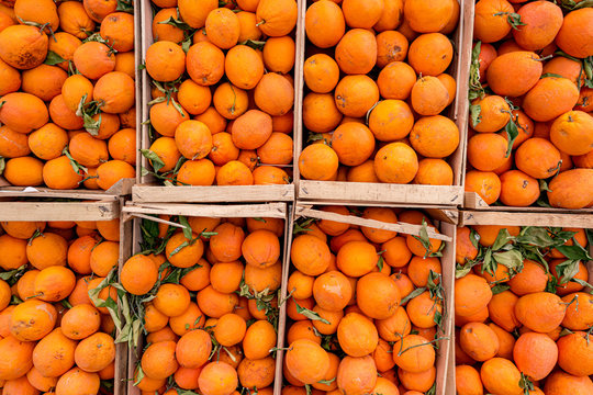 Foofd Images – Browse 140 Stock Photos, Vectors, and Video | Adobe Stock