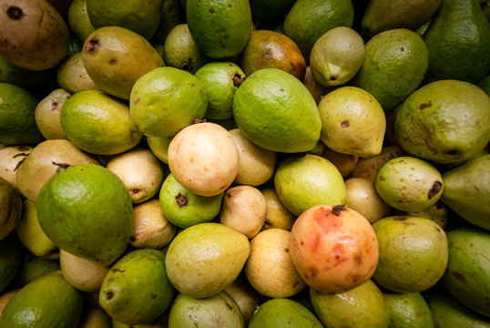 Imágenes de Alberja: descubre bancos de fotos, ilustraciones, vectores ...