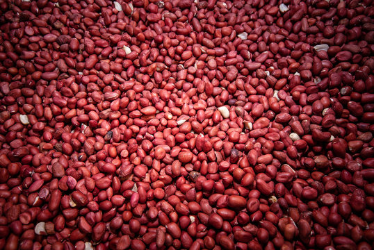 Imágenes de Alberja: descubre bancos de fotos, ilustraciones, vectores ...