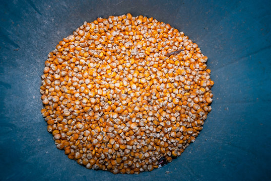 Alberja Images – Browse 39 Stock Photos, Vectors, and Video | Adobe Stock