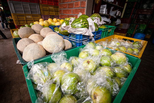 Alberja Images – Browse 40 Stock Photos, Vectors, and Video | Adobe Stock