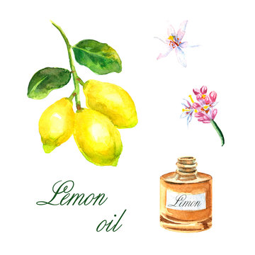 Chaha Images – Browse 52 Stock Photos, Vectors, and Video | Adobe Stock