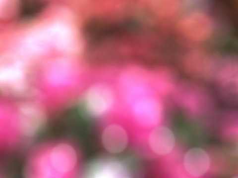 Pink Glitter Overlay Images – Browse 4,098 Stock Photos, Vectors, and ...