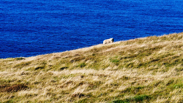 Alleingang bilder – Bläddra bland 69 stockfoton, vektorer och videor ...