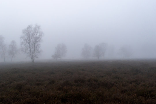 รูปภาพ"Nebel – เลือกดูภาพถ่ายสต็อก เวกเตอร์ และวิดีโอ201,954 | Adobe Stock