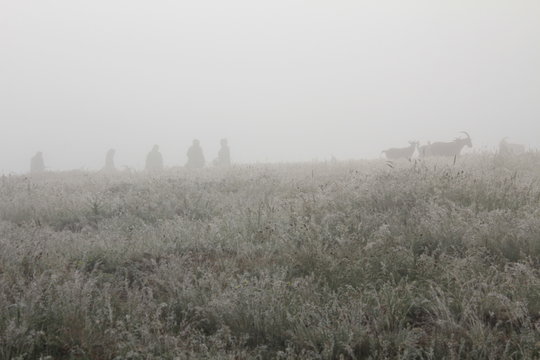 "Rural Economy" Images – Browse 10,731 Stock Photos, Vectors, and Video ...