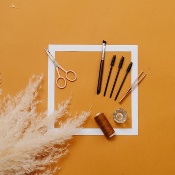 Spoolie bilder – Bläddra bland 124 stockfoton, vektorer och videor ...