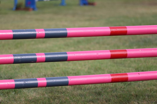 「Oxer」の写真素材 | 11,999件の無料イラスト画像 | Adobe Stock