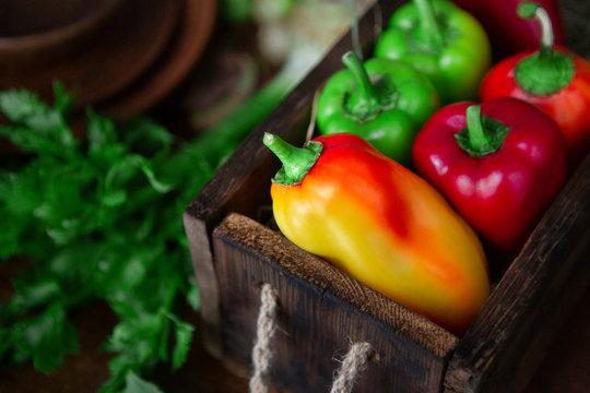 รูปภาพPaprica – เลือกดูภาพถ่ายสต็อก เวกเตอร์ และวิดีโอ21,183 | Adobe Stock