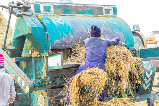 Scheunendrescher Bilder – Durchsuchen 38 Archivfotos, Vektorgrafiken ...