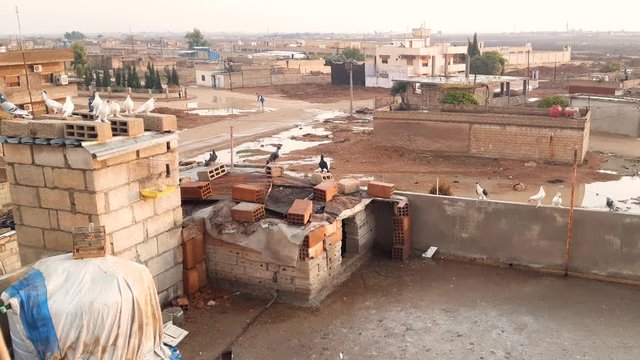 Rojava bilder – Bläddra bland 55 stockfoton, vektorer och videor | Adobe Stock