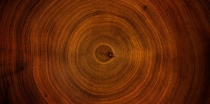 "End Grain" Images – Browse 1,221 Stock Photos, Vectors, and Video ...