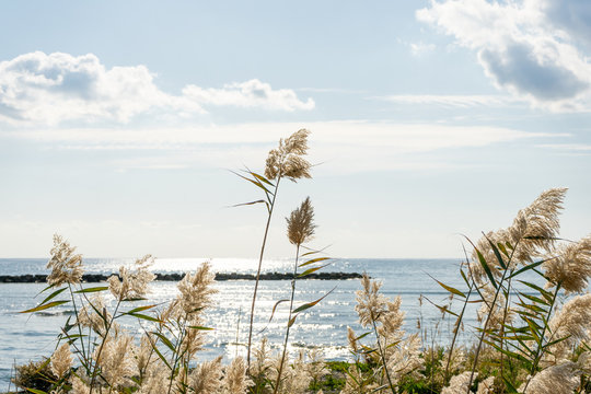 Chillin Images – Parcourir 870 le catalogue de photos, vecteurs et ...