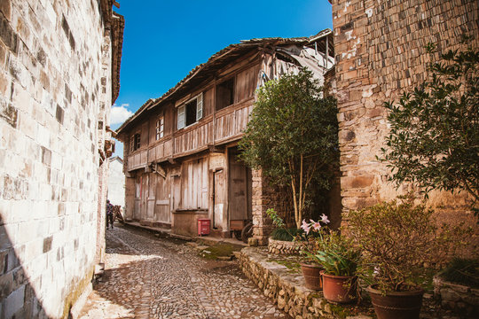 Potan Images – Browse 29 Stock Photos, Vectors, and Video | Adobe Stock