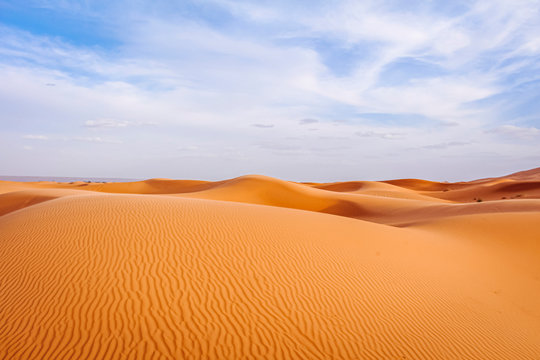 Arido Images – Browse 40 Stock Photos, Vectors, and Video | Adobe Stock