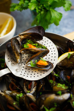 Parsil Bilder – Durchsuchen 85 Archivfotos, Vektorgrafiken und Videos ...