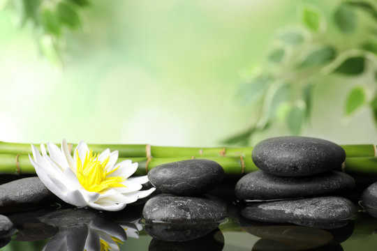 Spa Background Lotus Images – Browse 52,705 Stock Photos, Vectors, and ...