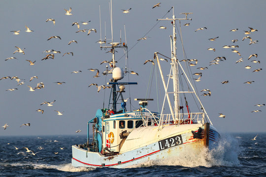 รูปภาพHochseefischen – เลือกดูภาพถ่ายสต็อก เวกเตอร์ และวิดีโอ196 ...