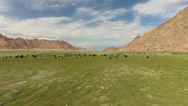 Sarlag-Bilder: Stock-Fotos & -Videos. | Adobe Stock