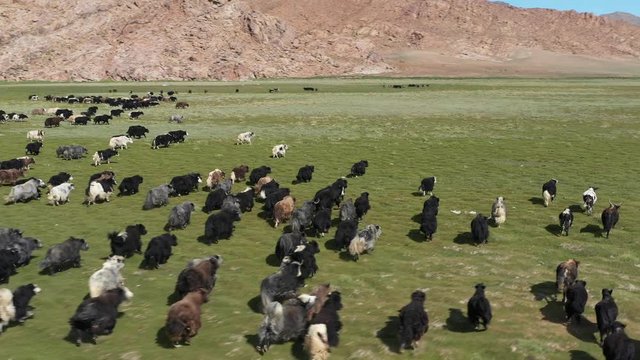 Sarlag-Bilder: Stock-Fotos & -Videos. | Adobe Stock