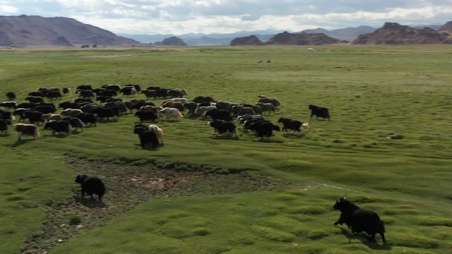 Sarlag Bilder – Durchsuchen 54 Archivfotos, Vektorgrafiken und Videos ...