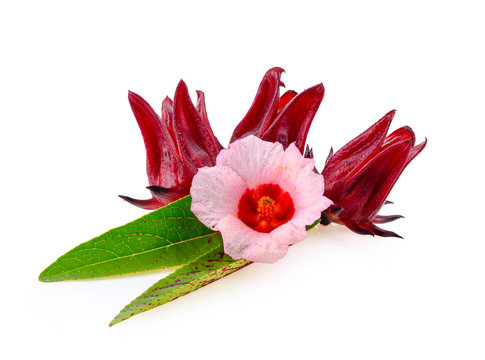 Bissap - Images et vidéos libres de droits | Adobe Stock