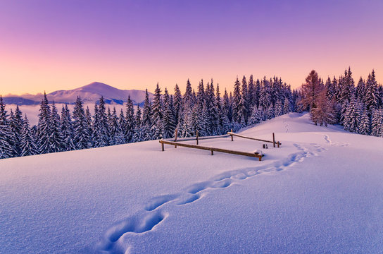 「Ihigh」の写真素材 | 19件の無料イラスト画像 | Adobe Stock