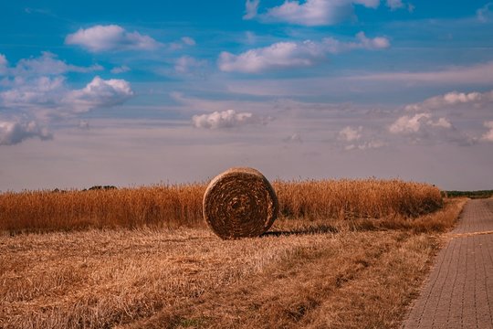 Heufeld Bilder – Durchsuchen 124 Archivfotos, Vektorgrafiken und Videos ...