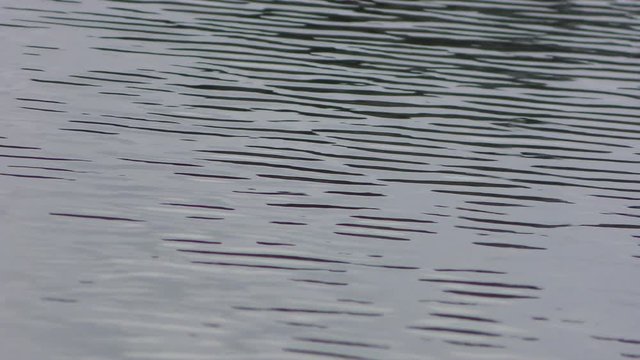 รูปภาพLake Ripples – เลือกดูภาพถ่ายสต็อก เวกเตอร์ และวิดีโอ243,652 ...