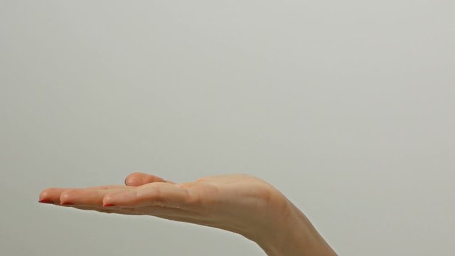 "Empty Hand" Images – Browse 317 Stock Photos, Vectors, and Video ...