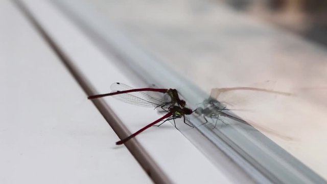 รูปภาพInceto – เลือกดูภาพถ่ายสต็อก เวกเตอร์ และวิดีโอ15 | Adobe Stock